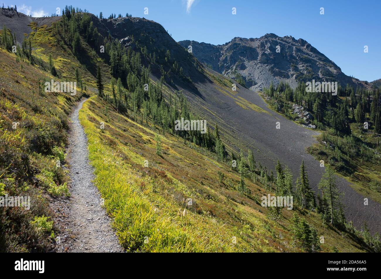 Path on a hillside on the Pacific Crest Trail Stock Photo - Alamy
