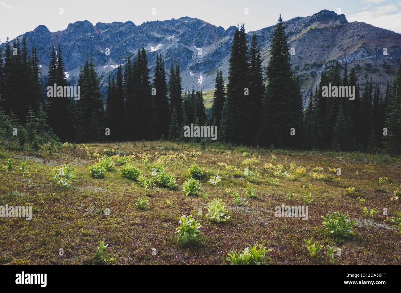 Vast alpine range hi-res stock photography and images - Alamy