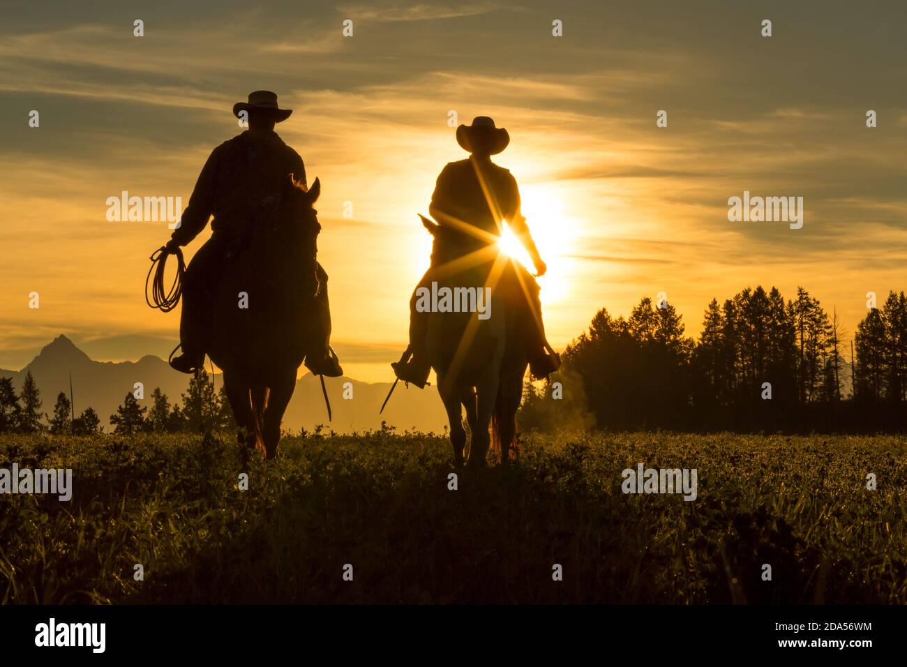 Two cowboys riding into the sunset across grassland with moutains ...