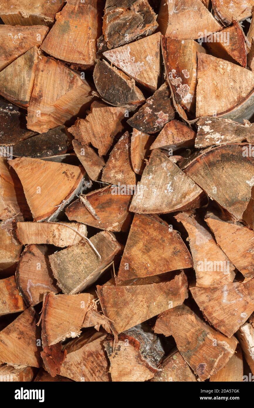 Pinned birch wood are in a pile in drevenice Stock Photo - Alamy