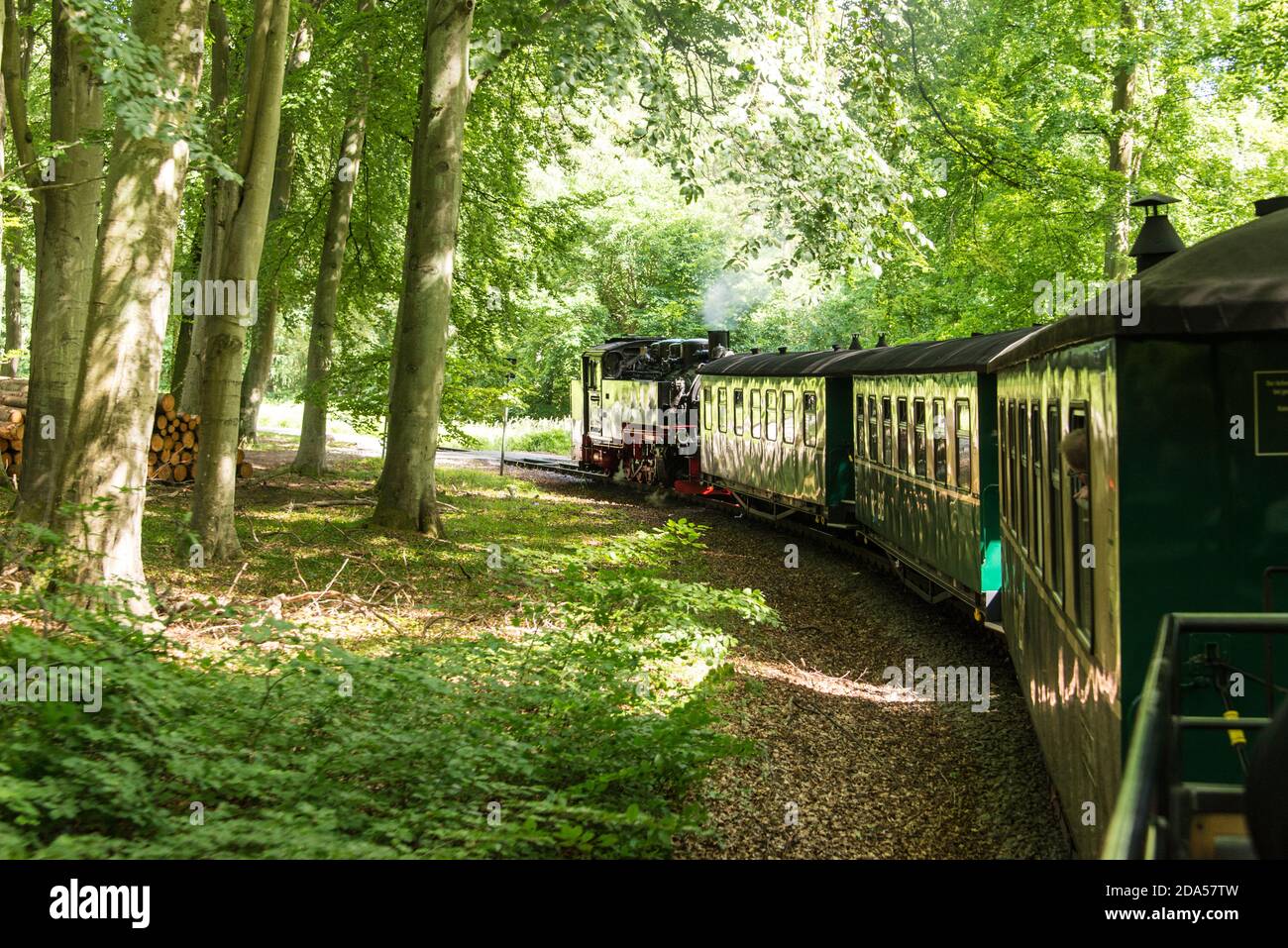 Racing Roland, the popular historic narrow-gauge train on Rügen island ...