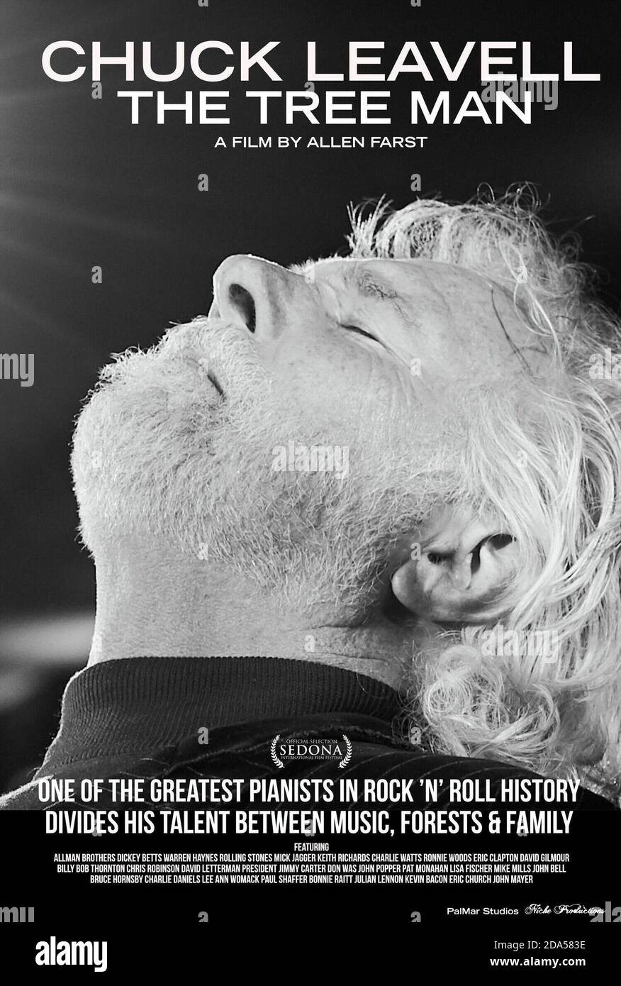 CHUCK LEAVELL: THE TREE MAN, poster, rock 'n' roll keyboardist and ...