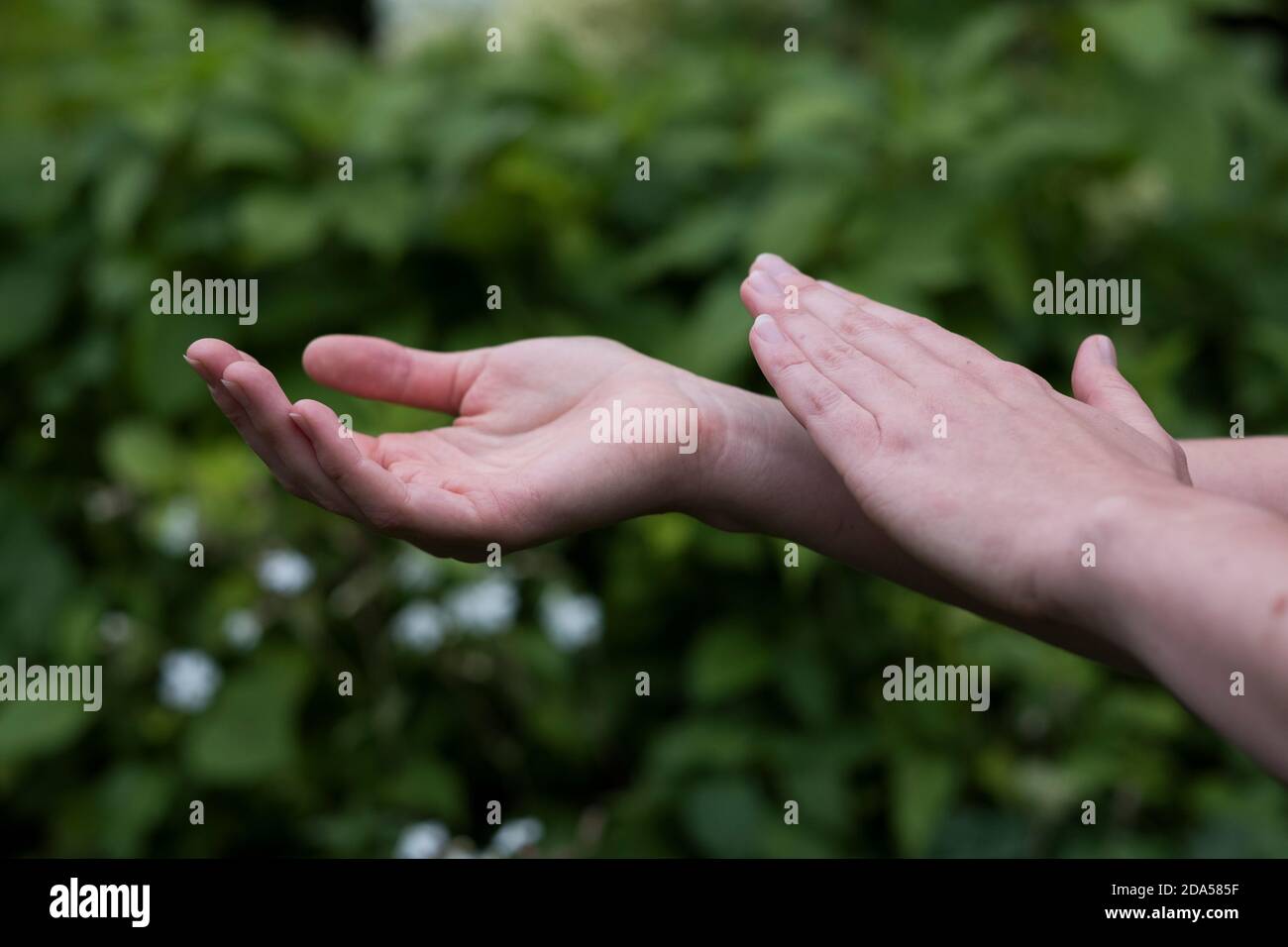 Close up of hands touching, EFT tapping therapy technique Stock Photo ...