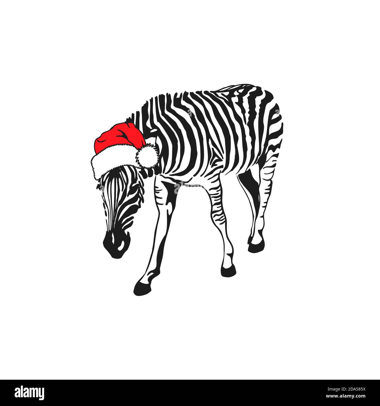 Graphical zebra in Santa Claus hat isolated on white background, vector ...