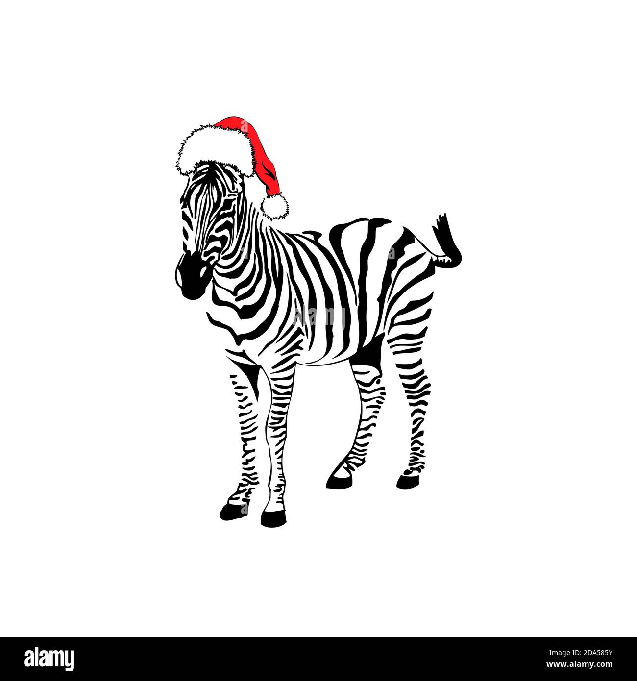 Zebra invitation hi-res stock photography and images - Alamy
