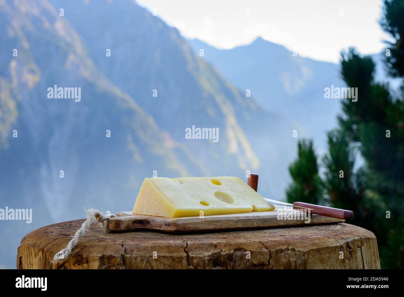 Cheese collection, French emmental de savoie cheese with round holes ...