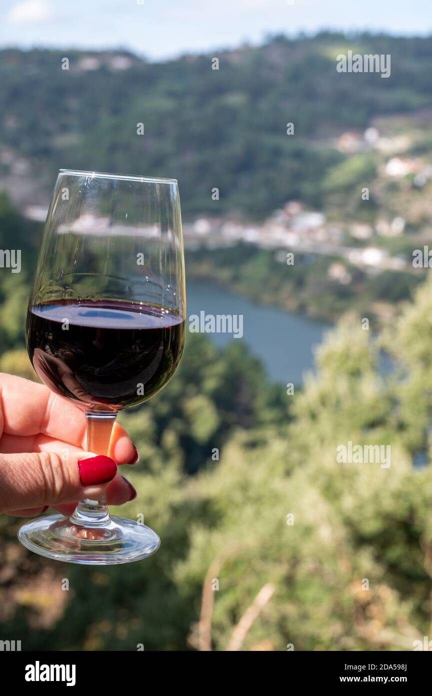 Outdoor tasting of different fortified port wines, hand with one glass ...