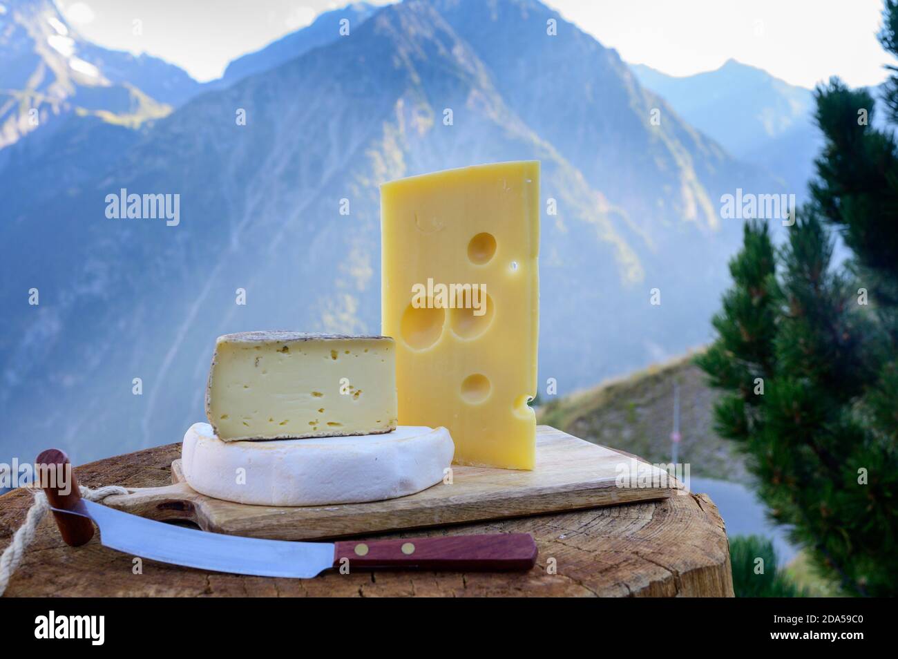 Cheese collection, French emmental, tomme and reblochon de savoie ...