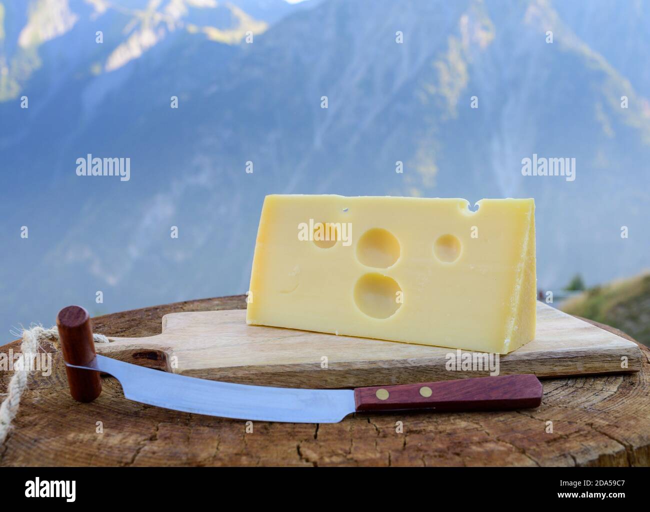 Cheese collection, French emmental de savoie cheese with round holes ...