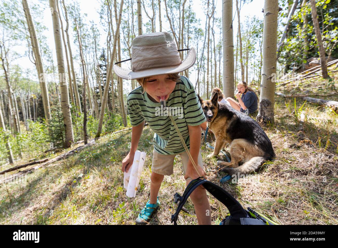 7 year old boy drinking water from hydration pack in forest of Aspen ...