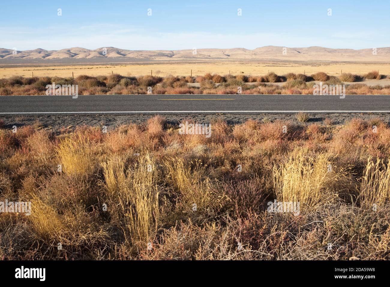 Highway through flat open space, desert with scrub plants Stock Photo ...