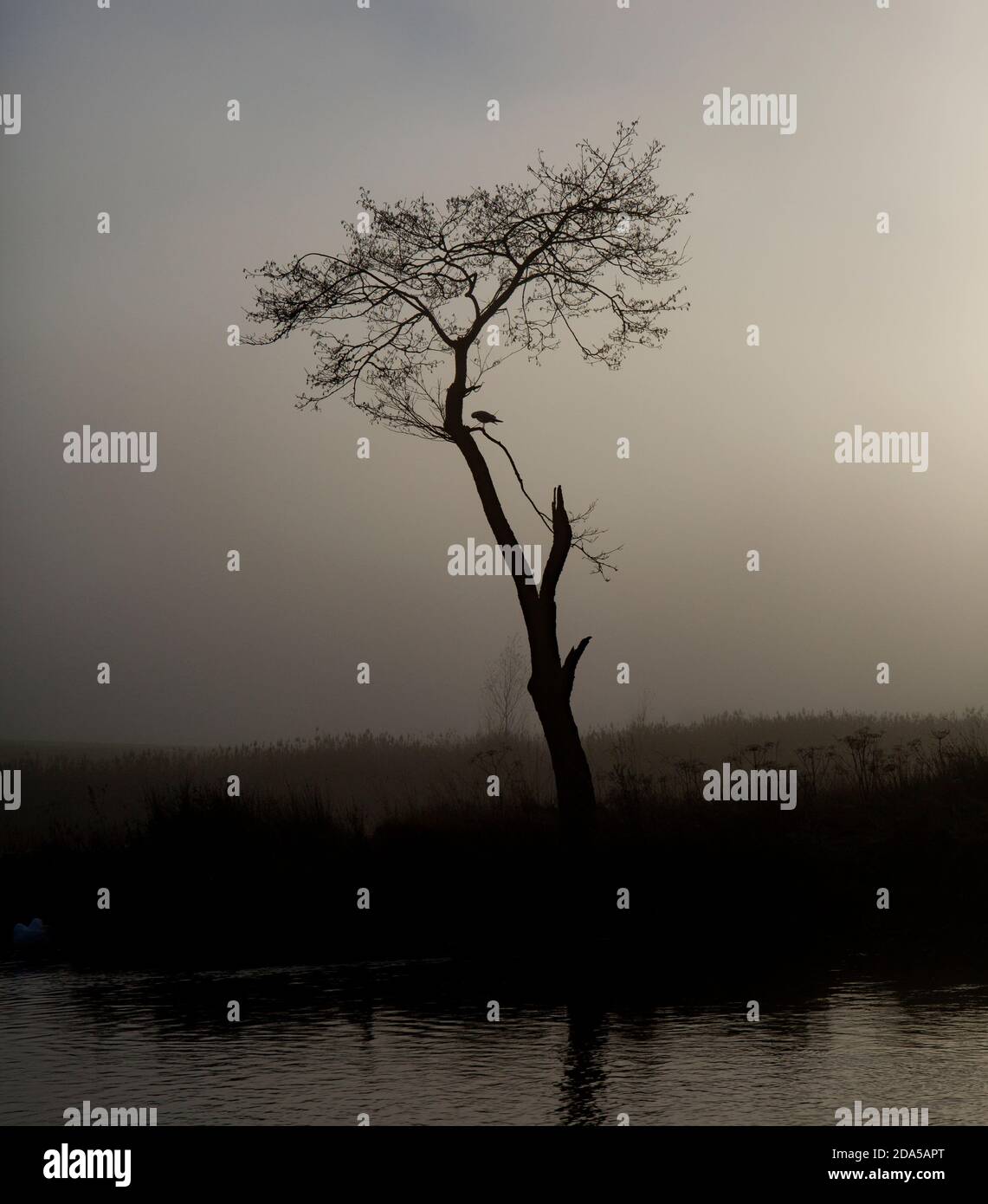 Autumn Mists at Callander, The Trossachs, Scotland Stock Photo - Alamy