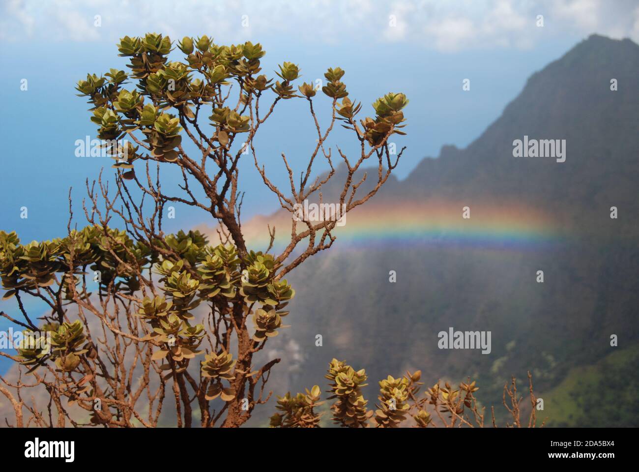 Pali peak hi-res stock photography and images - Alamy