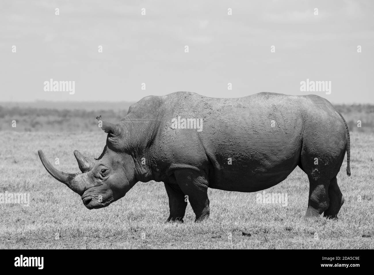 Southern plateau Black and White Stock Photos & Images - Alamy