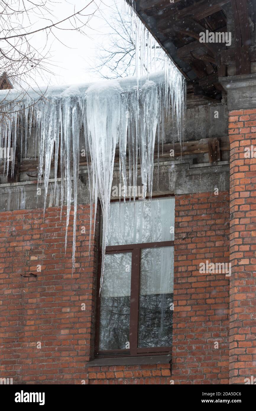 Ice stalactite hanging from the roof with wooden wall. Building covered ...