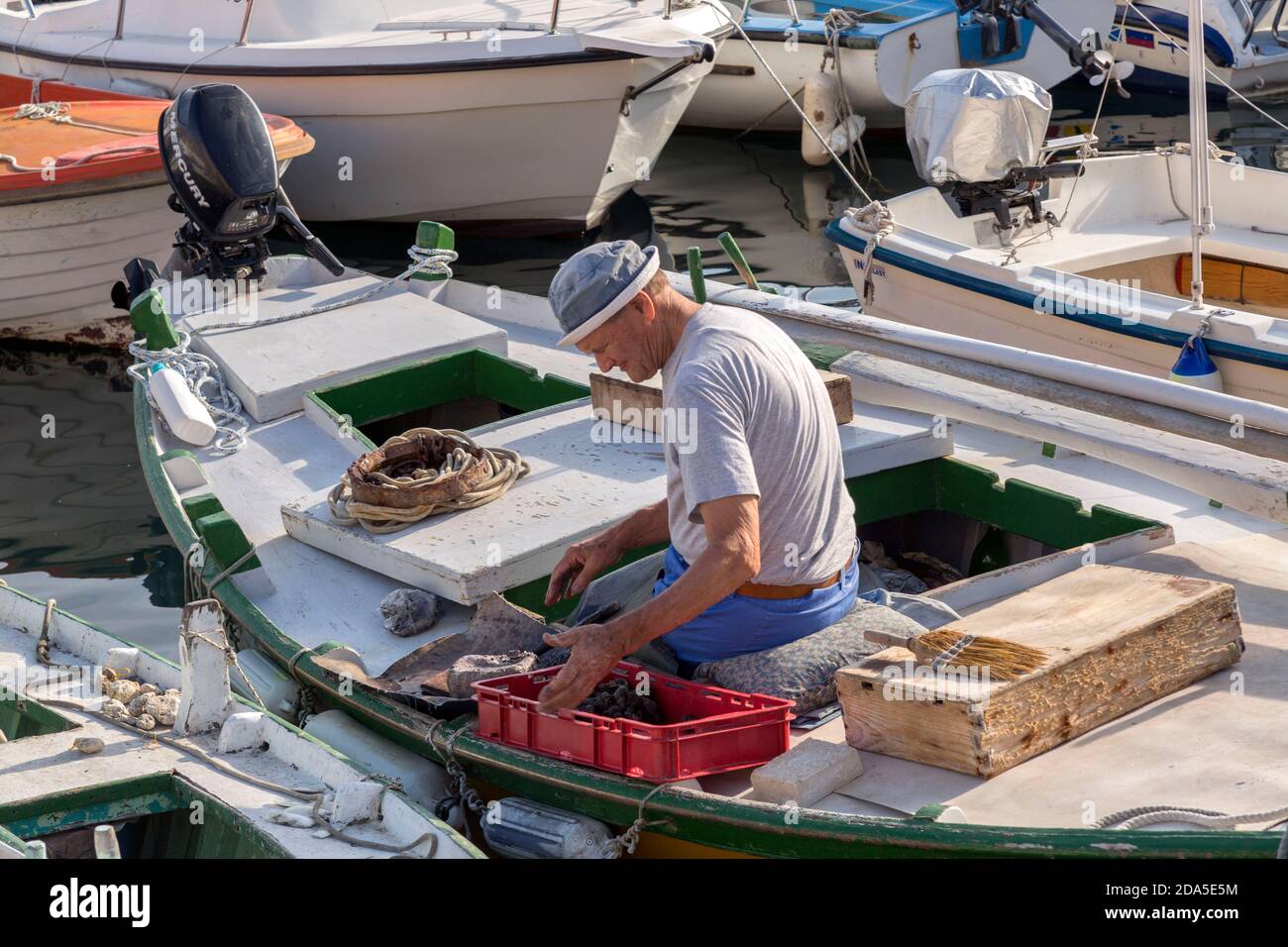 Cleaning fish hi-res stock photography and images - Alamy