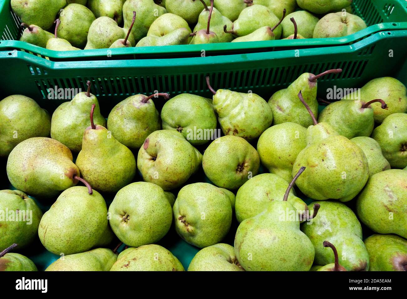 Williams pear hi-res stock photography and images - Alamy