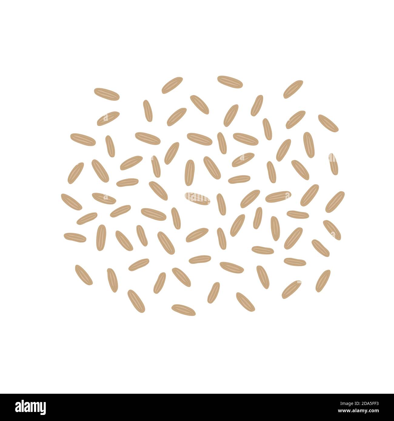 Brown rice seeds isolated on white background. Whole grain rice ...