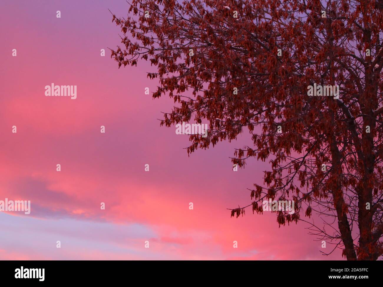 Edson alberta canada hi-res stock photography and images - Alamy