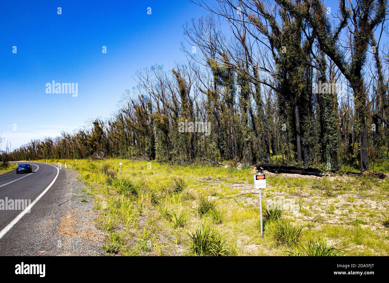 Bushfires, regrowth, australia hi-res stock photography and images - Alamy