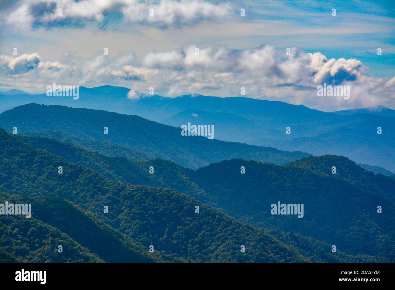 Oak tree frames Vista overlooking a dense forest ridge in early fall ...