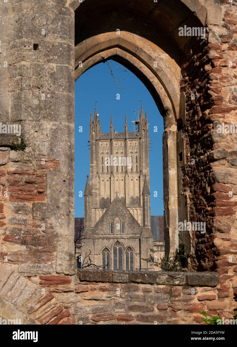 Tower of Wells Cathedral, seen through a window in the ruins of the ...