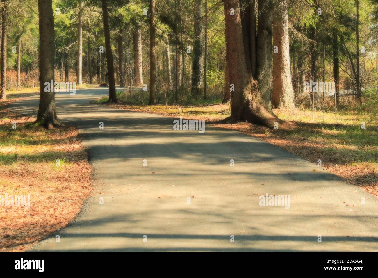 Edson alberta canada hi-res stock photography and images - Alamy