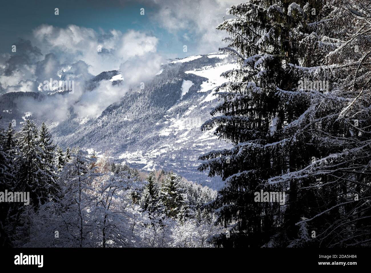 Seasons greetings french hi-res stock photography and images - Alamy