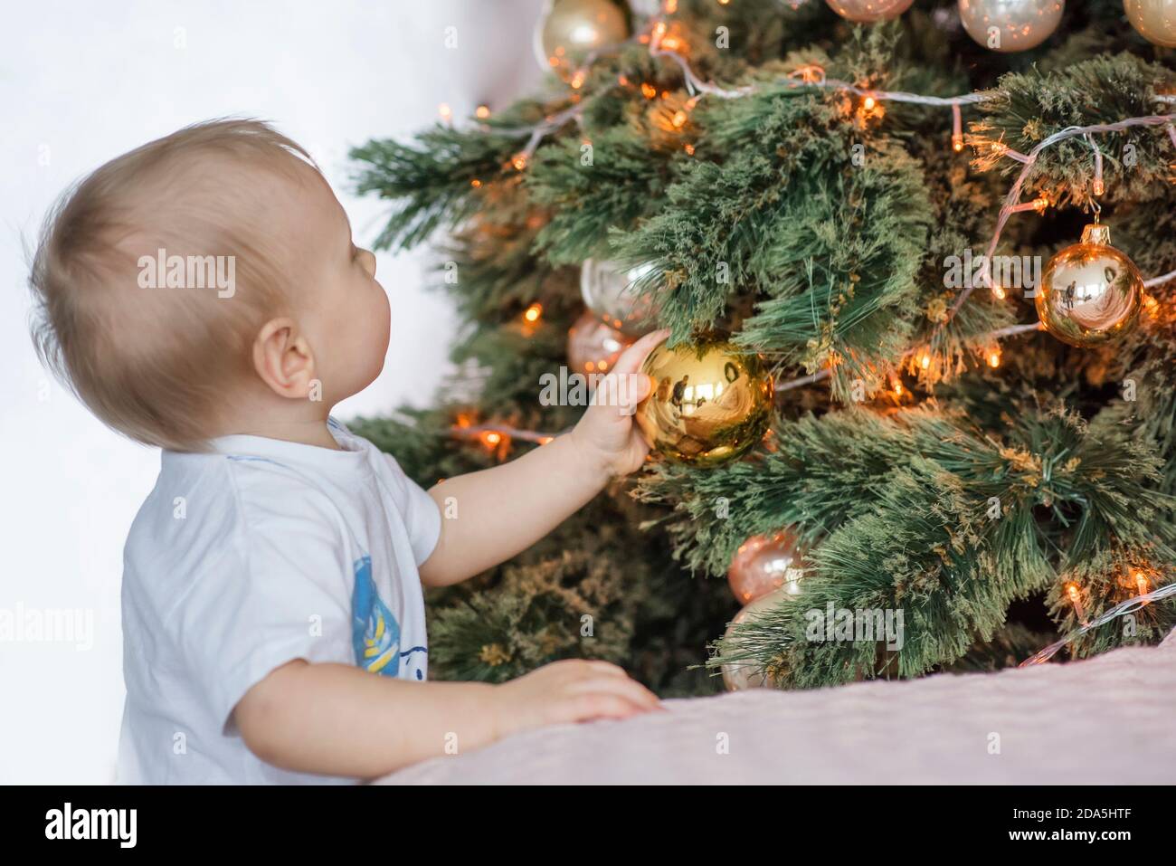 Boy touching tree hi-res stock photography and images - Alamy
