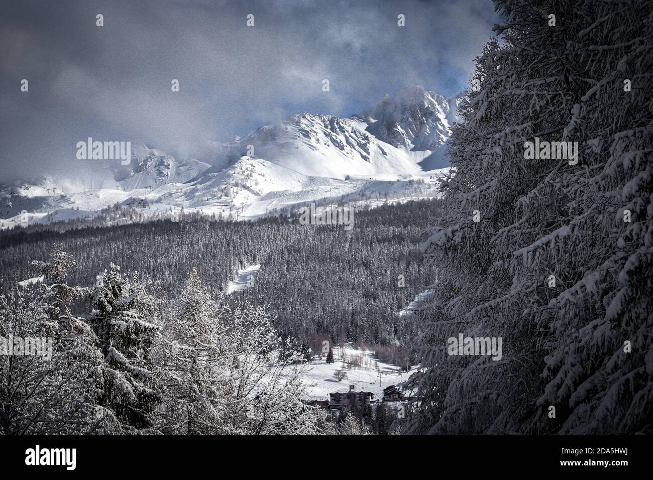 Seasons greetings french hi-res stock photography and images - Alamy