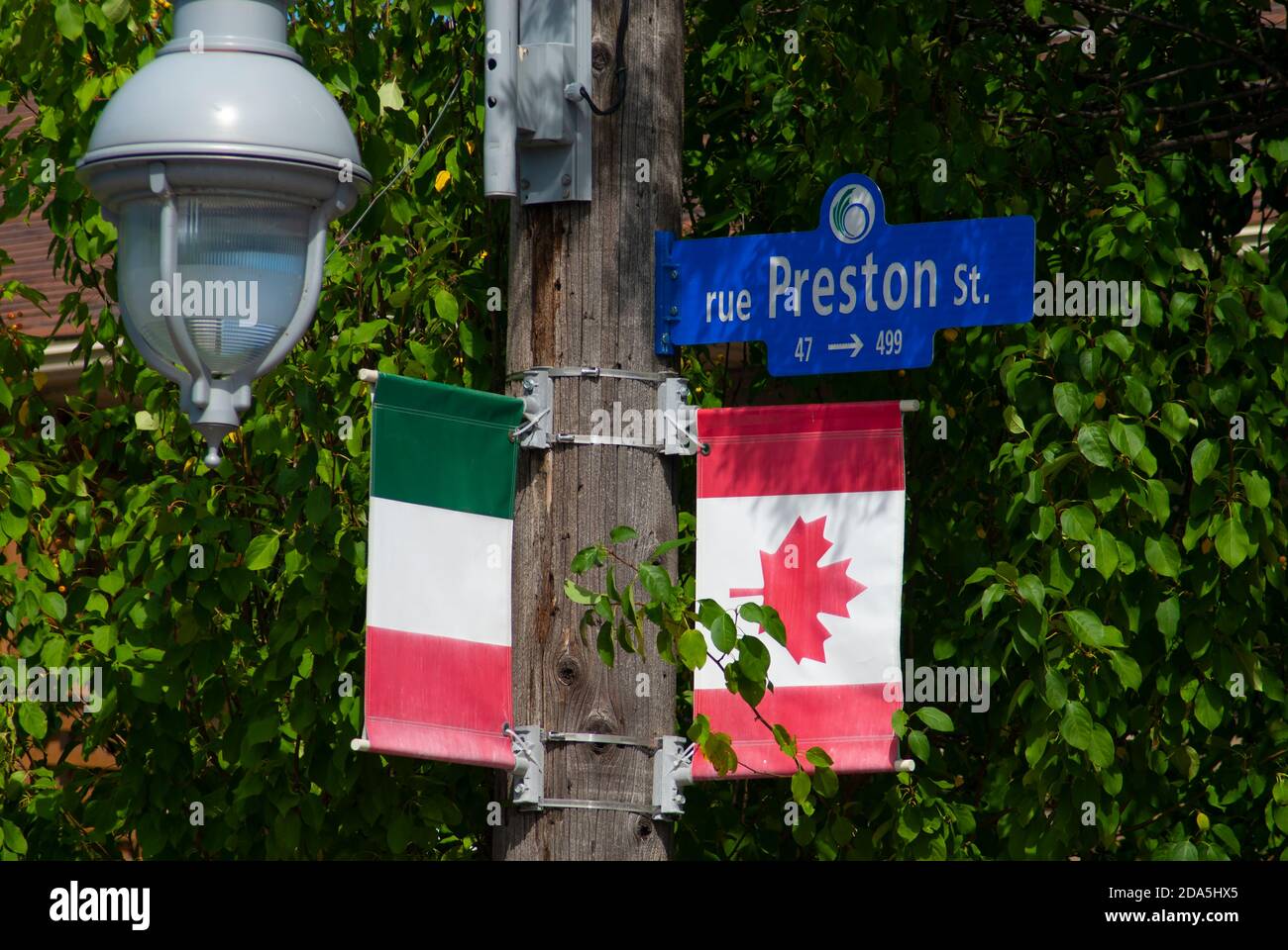 Little Italy with Canadian and Italian Flags, Preston Street, Ottawa, Ontario, Canada Stock ...