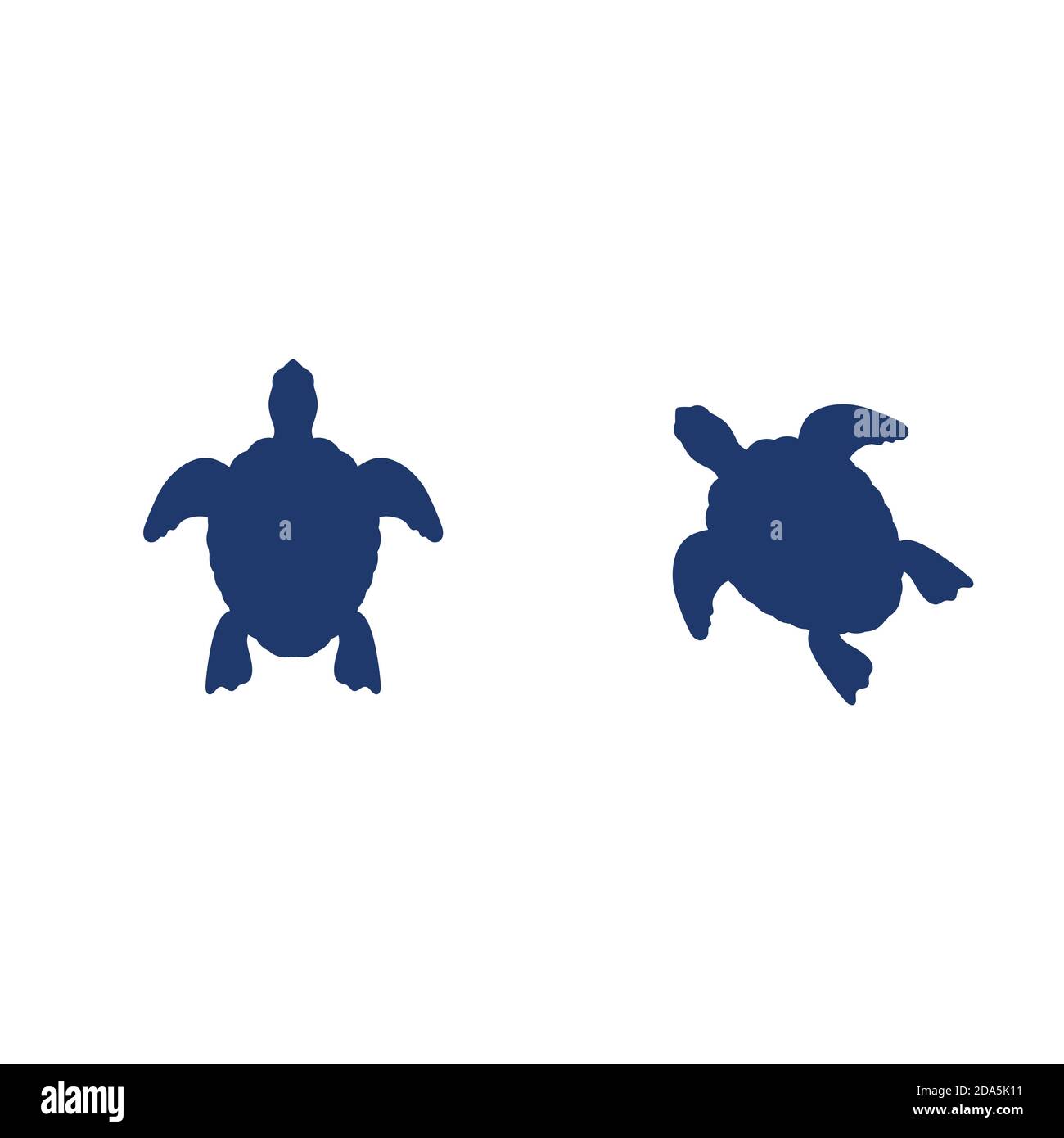 Turtle animal cartoon icon vector illustration Stock Vector Image & Art ...