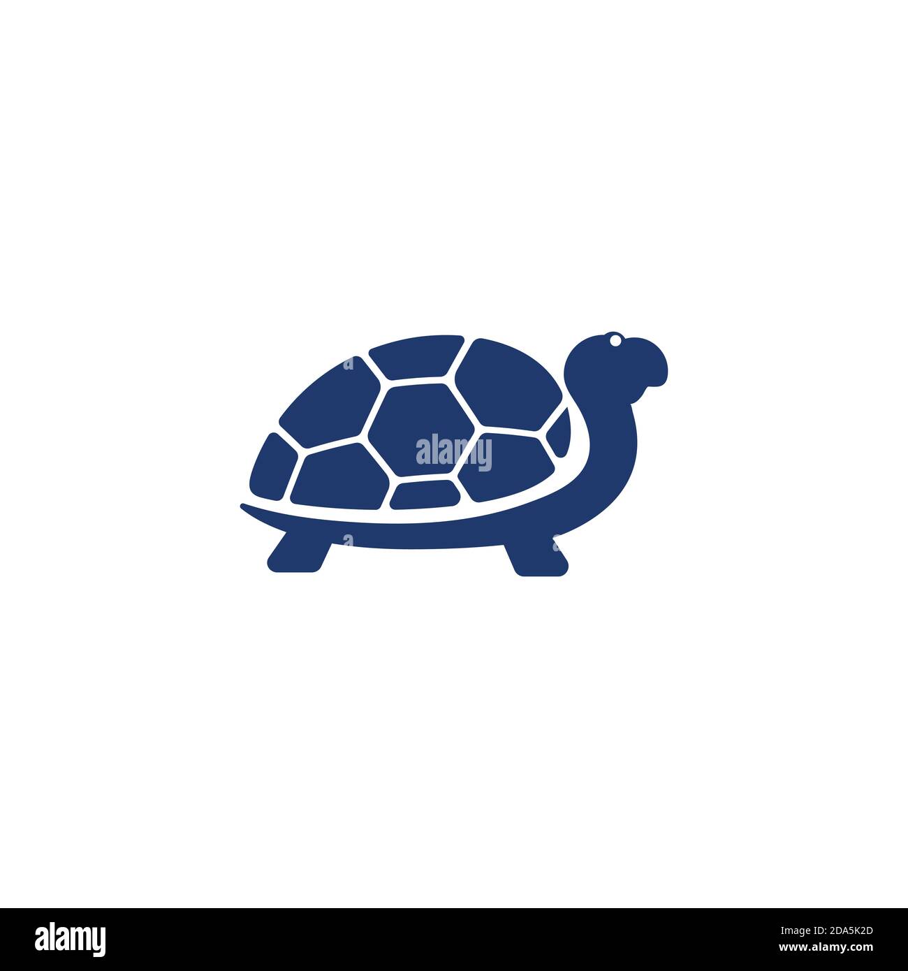 Turtle animal cartoon icon vector illustration Stock Vector Image & Art ...