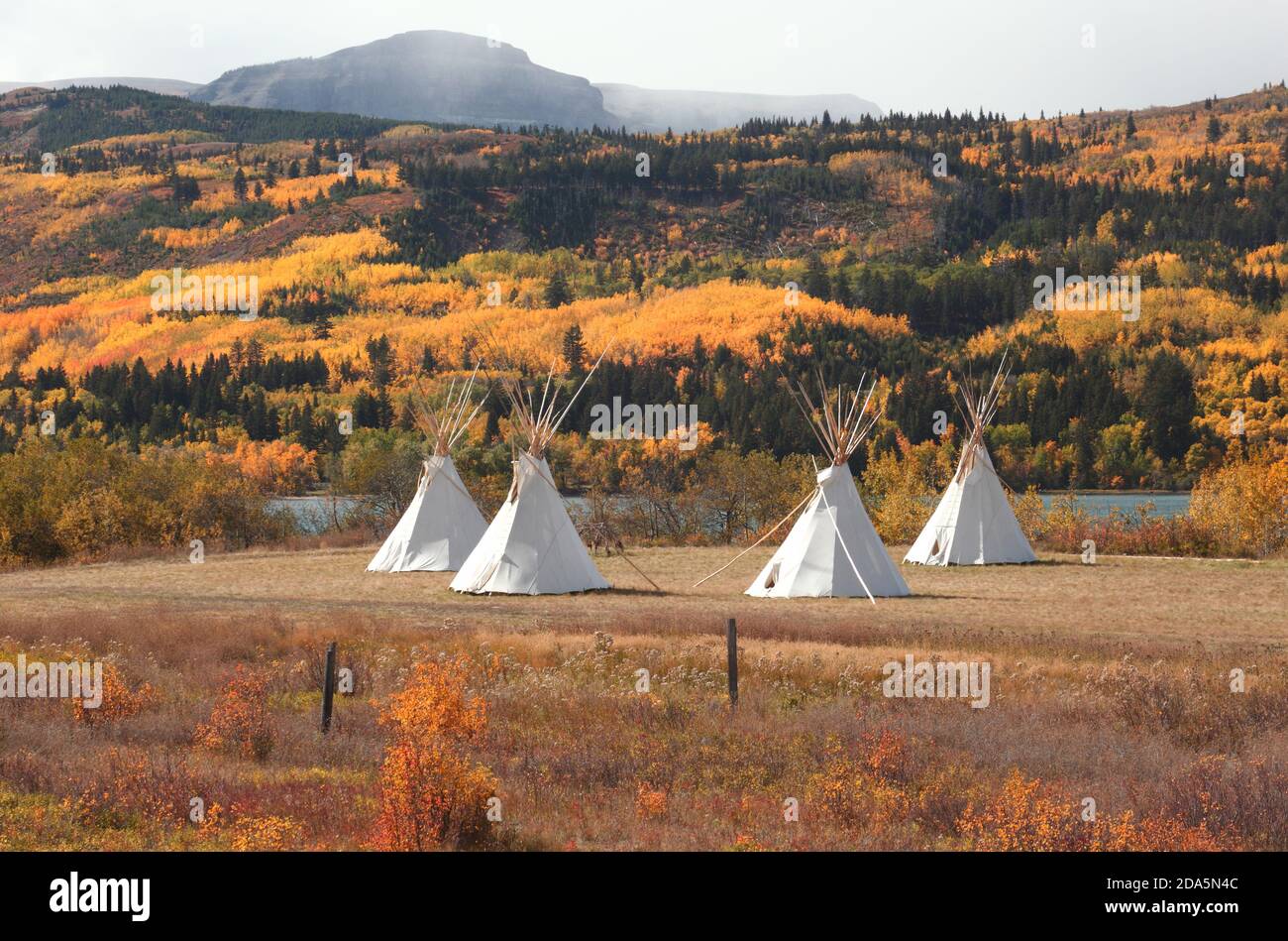 Yellow tipi hi-res stock photography and images - Alamy