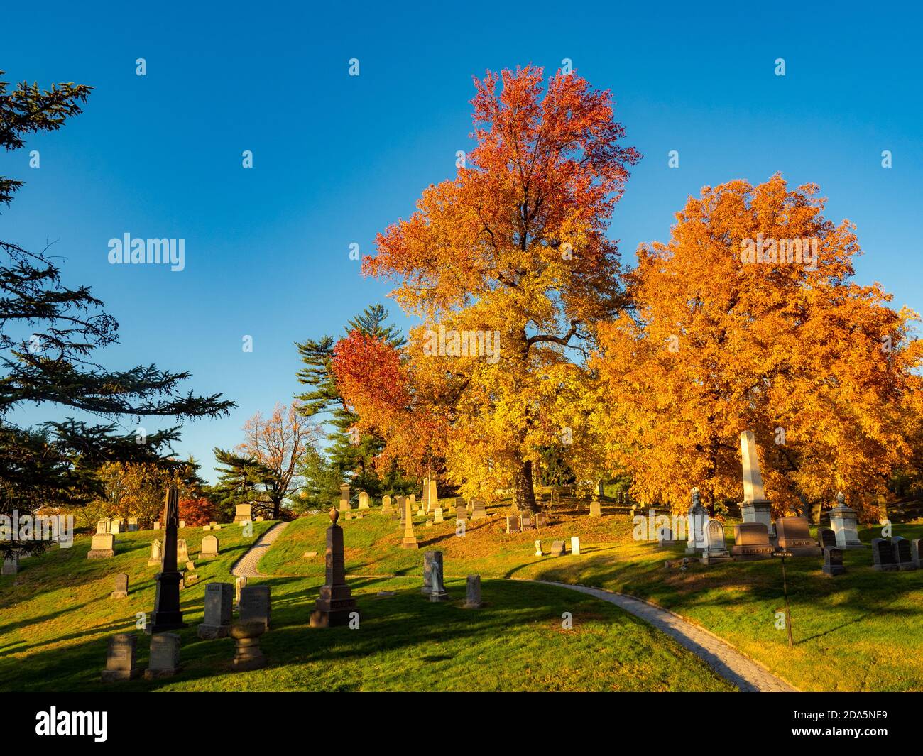 Autumn in Green-Wood Cemetery Stock Photo - Alamy
