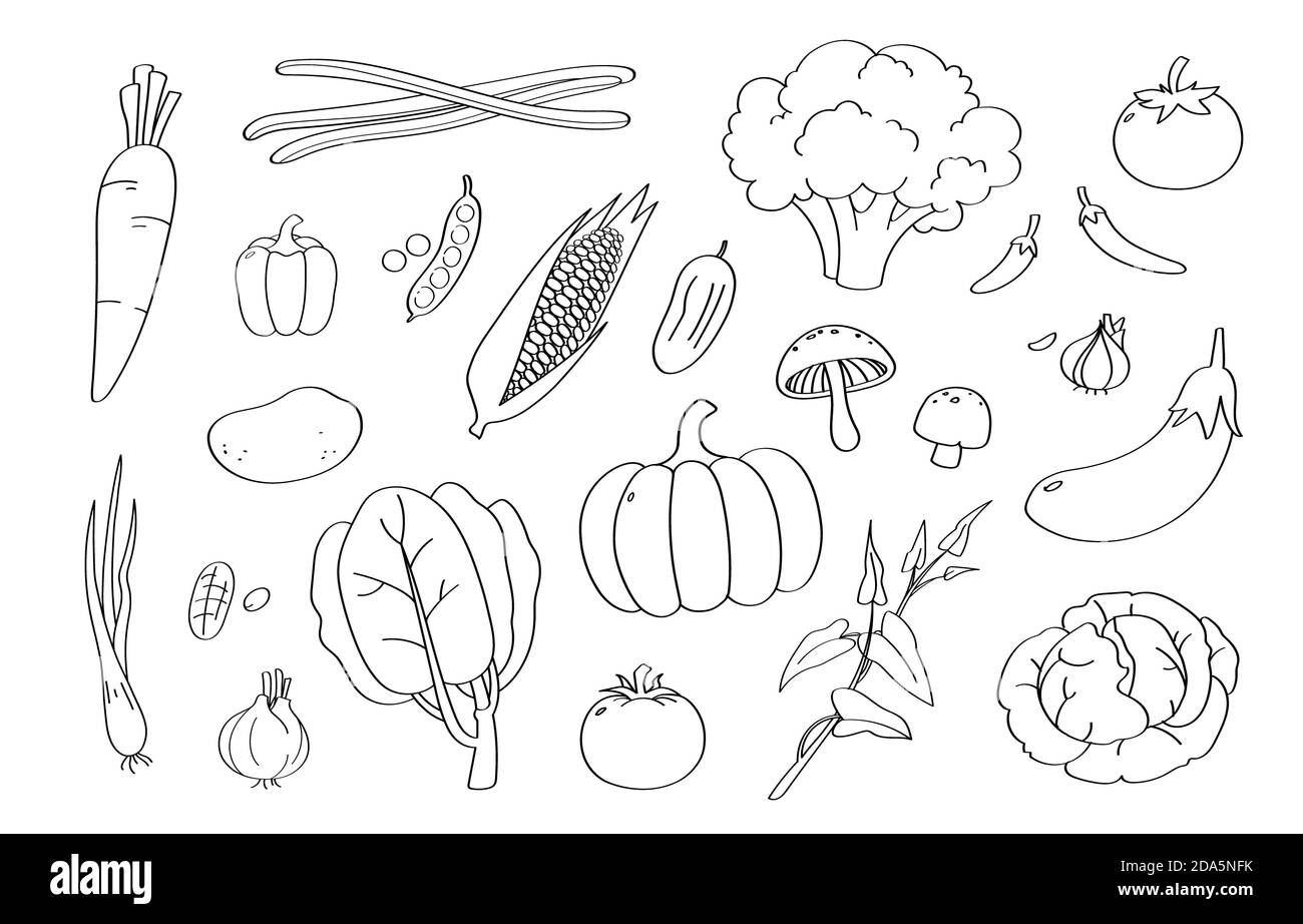 Cute doodle vegetable cartoon icons and objects Stock Photo - Alamy