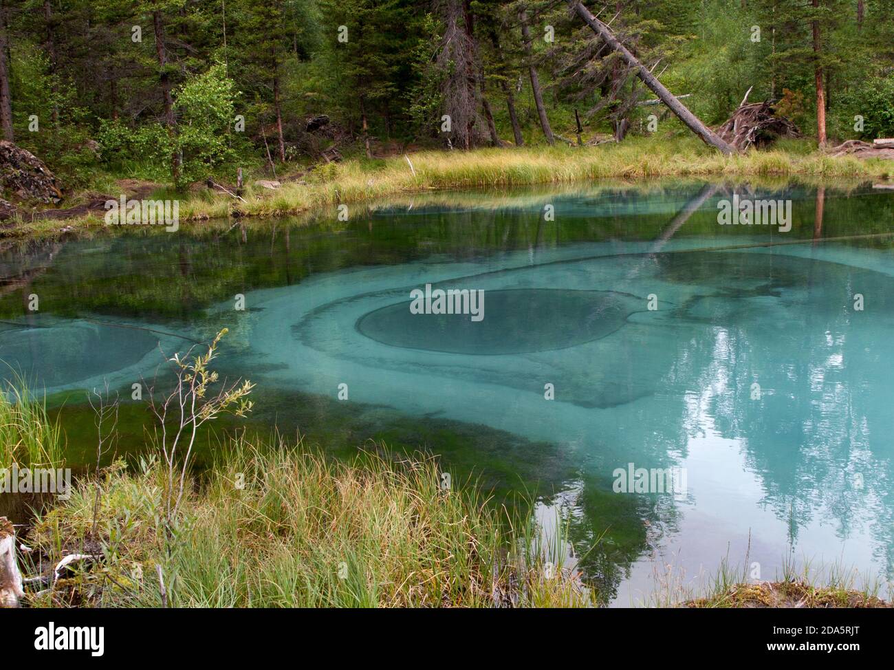 Geyser pass hi-res stock photography and images - Alamy