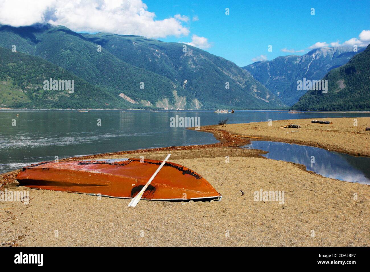 Deep Teletskoe lake in the Altai in summer Stock Photo - Alamy
