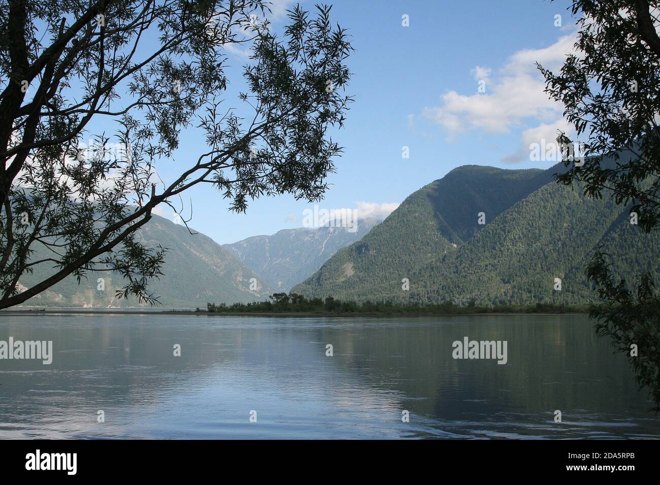 Deep Teletskoe lake in the Altai in summer Stock Photo - Alamy