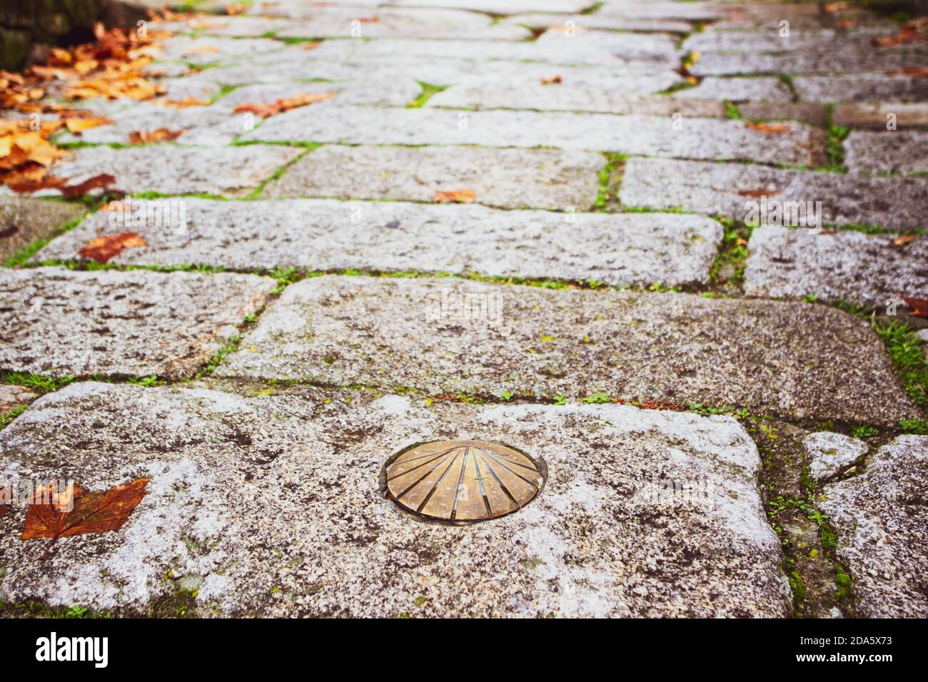 Santiago shell (Pilgrims shell), St James shell in Allariz,Ourense ...