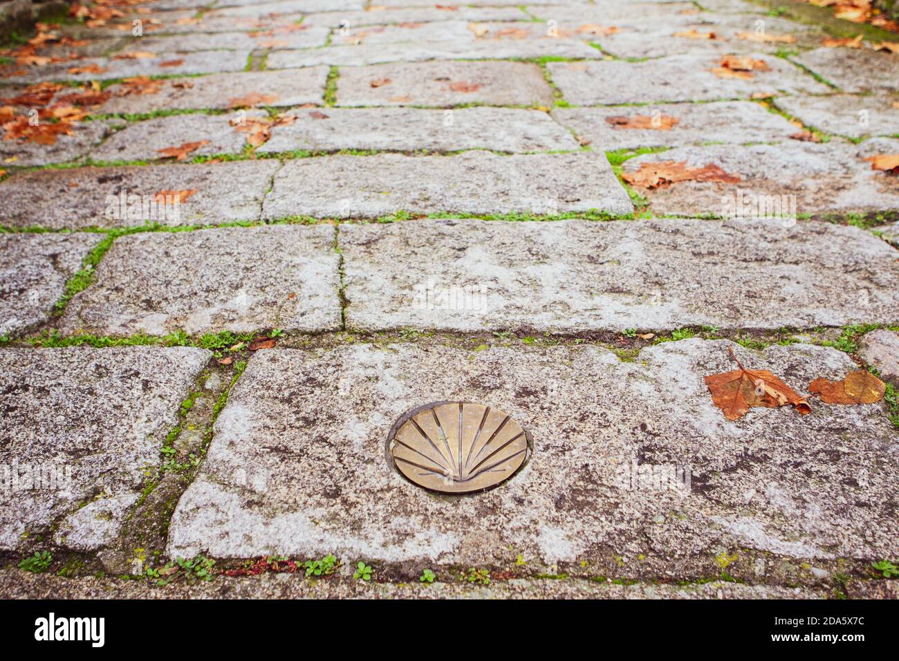 Santiago shell (Pilgrims shell), St James shell in Allariz,Ourense ...