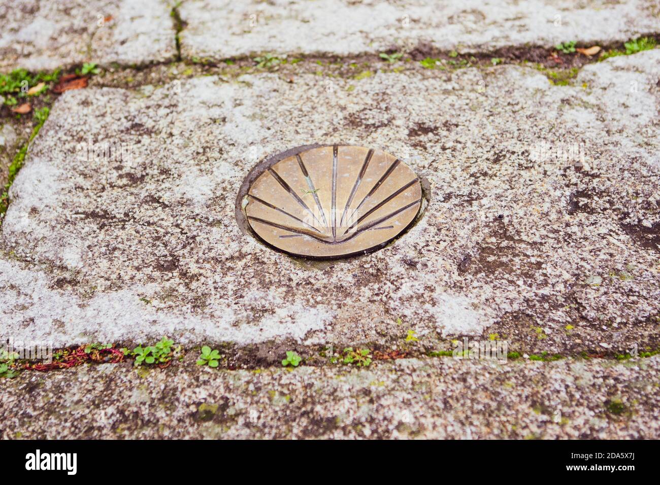 Santiago shell (Pilgrims shell), St James shell in Allariz,Ourense ...