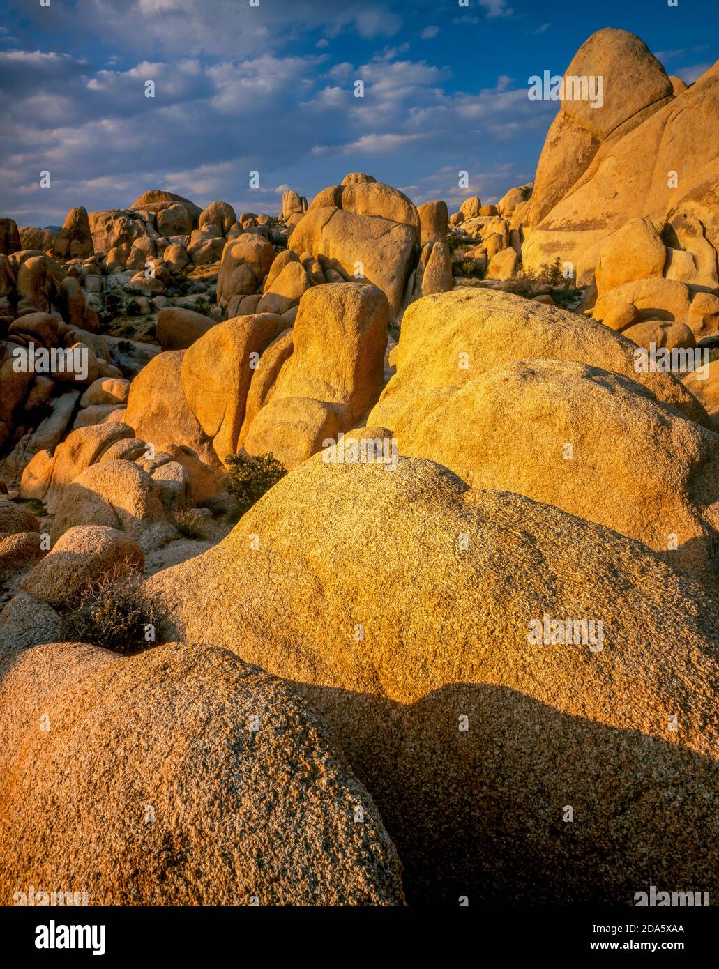Sandstone Formations, Joshua Tree National Paark, California Stock ...