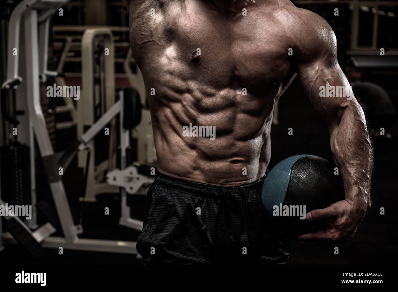 strong physique body torso of strong young male with perfect Stock ...