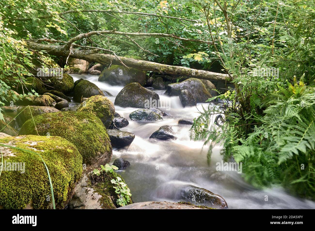 Stony stream hi-res stock photography and images - Alamy
