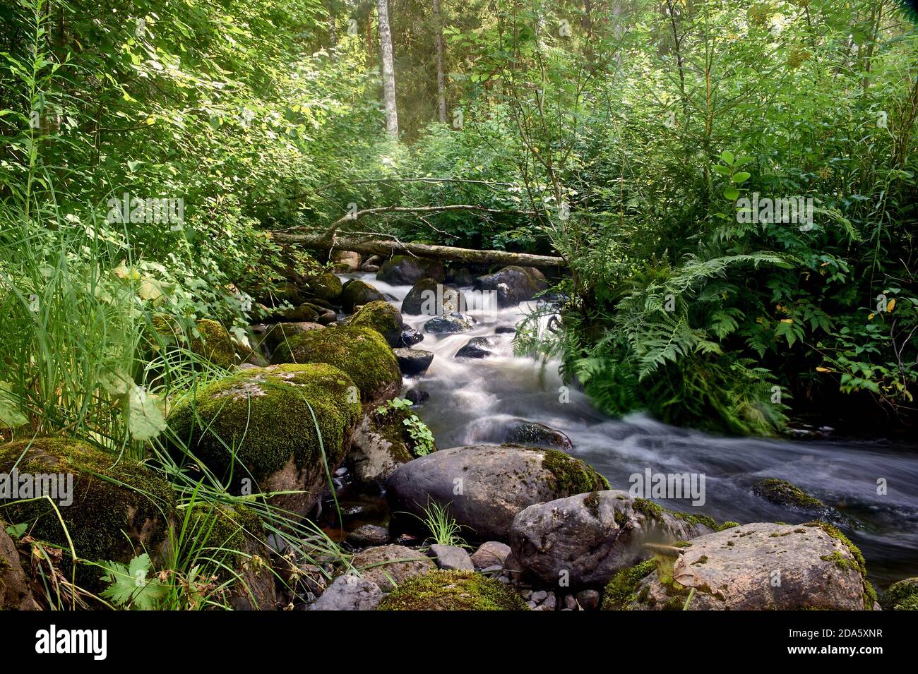 Stony stream hi-res stock photography and images - Alamy