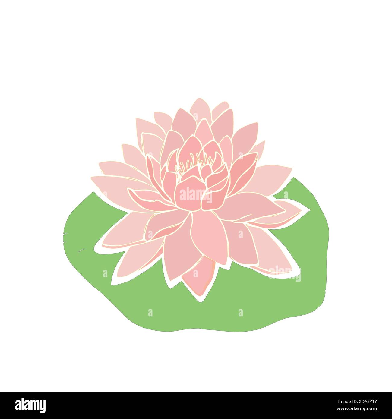 Red Lotus Logo Lotus Symbol Red Lotus Symbol CleanPNG