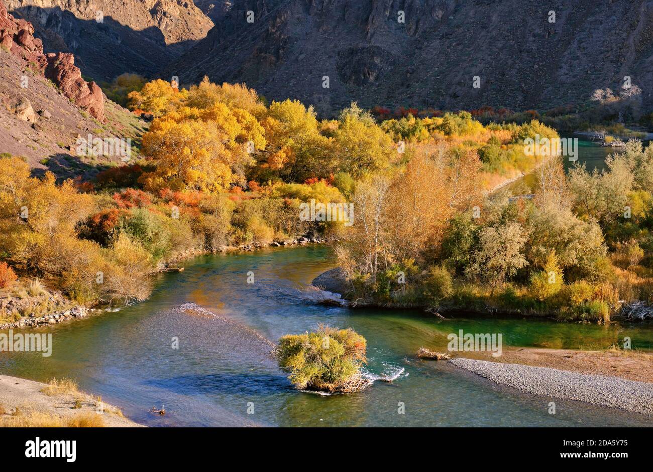 Cute island in the middle of the river in the soft morning sun in the ...