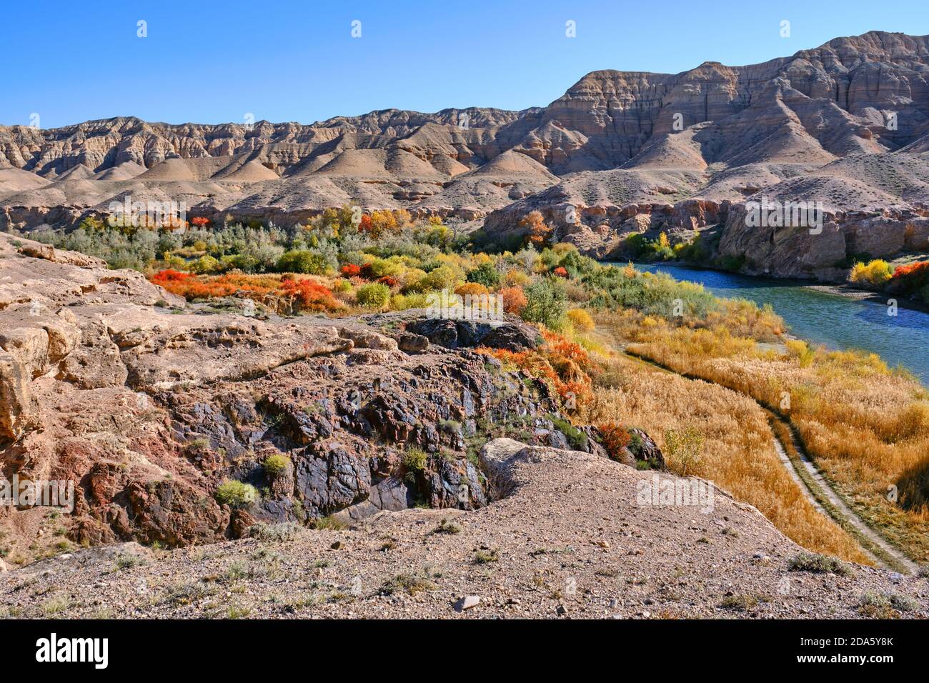 Fall season in the desert hi-res stock photography and images - Alamy