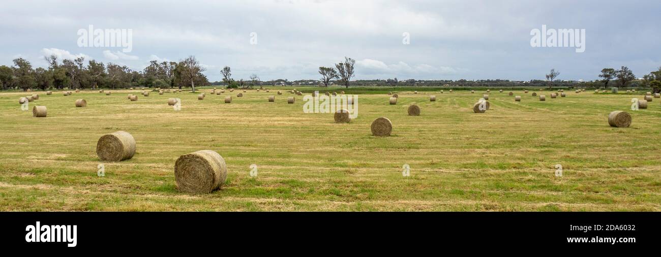 Australian Wheat Harvest High Resolution Stock Photography and Images ...
